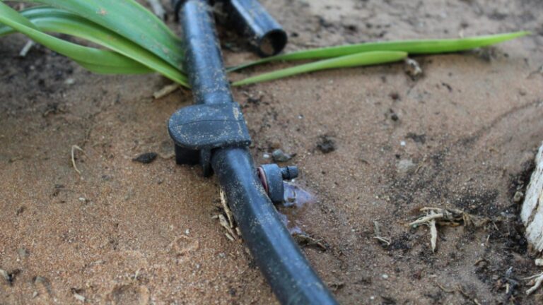 11 Best Soaker Hoses | How to Use Them? - School of Garden